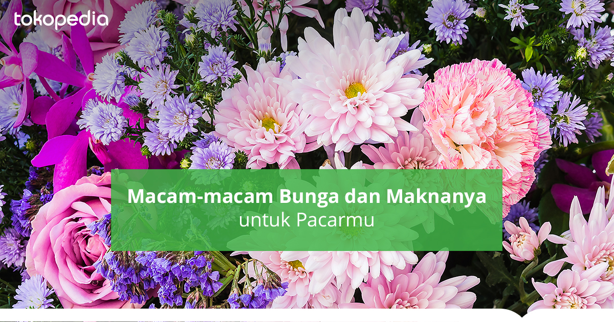 12 Macam-macam Bunga dan Maknanya untuk Orang Spesial