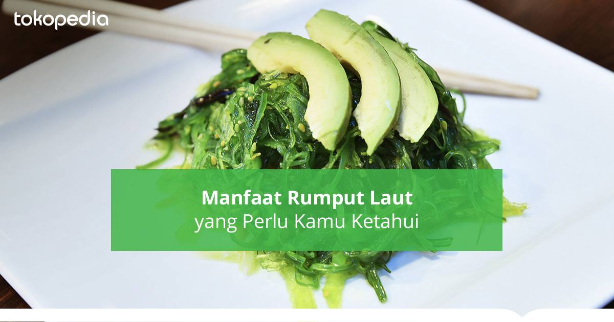 10 Manfaat Rumput Laut untuk Kesehatan / Kecantikan - Tokopedia Blog
