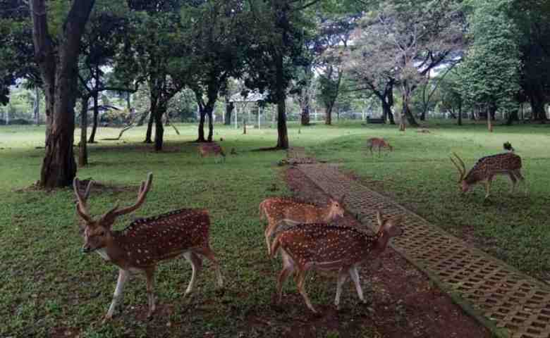 25 Tempat Wisata Kota Bekasi Terbaik dan Terpopuler
