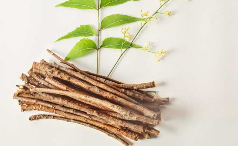 Manfaat Siwak dan Cara Bersiwak yang Benar Sesuai Sunnah