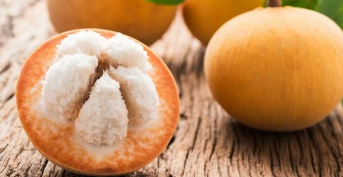 13 Manfaat Buah Kecapi, Buah Menyegarkan yang Terlupakan