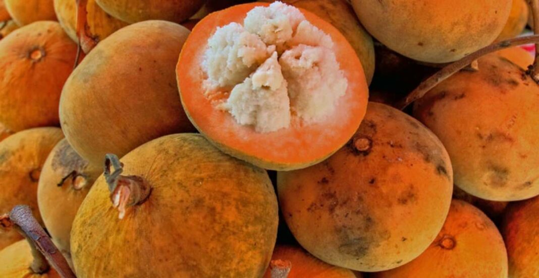 13 Manfaat Buah Kecapi, Buah Menyegarkan yang Terlupakan