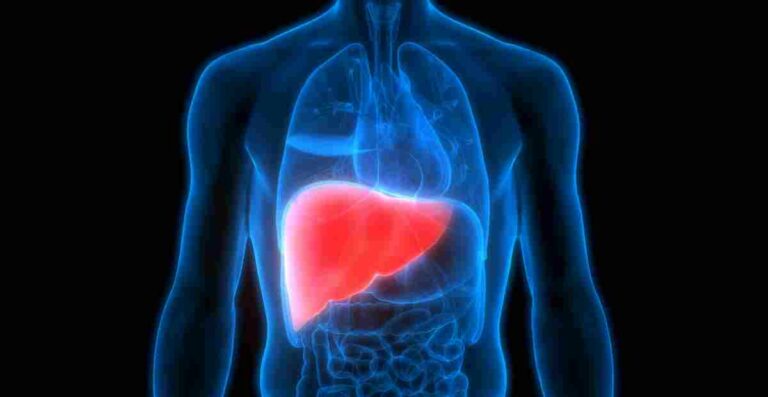 12 Fungsi Hati Lengkap Beserta Penjelasan dan Gambarnya