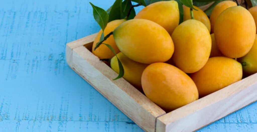 11 Manfaat Buah Gandaria: Ketika Mangga dan Jeruk Jadi Satu