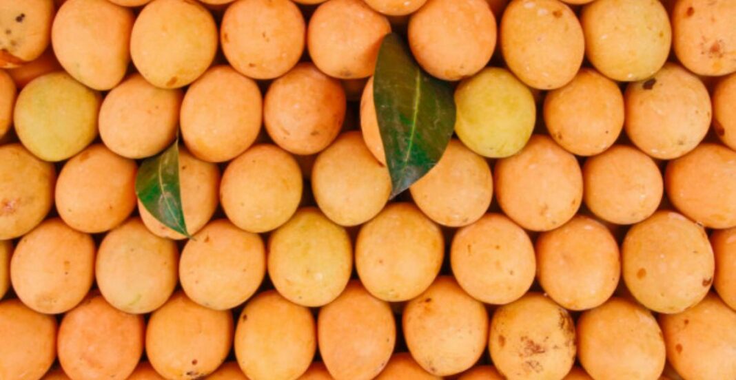 11 Manfaat Buah Gandaria: Ketika Mangga dan Jeruk Jadi Satu