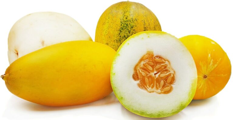 11 Manfaat Timun Suri: Buah Lembut yang Kaya Khasiat