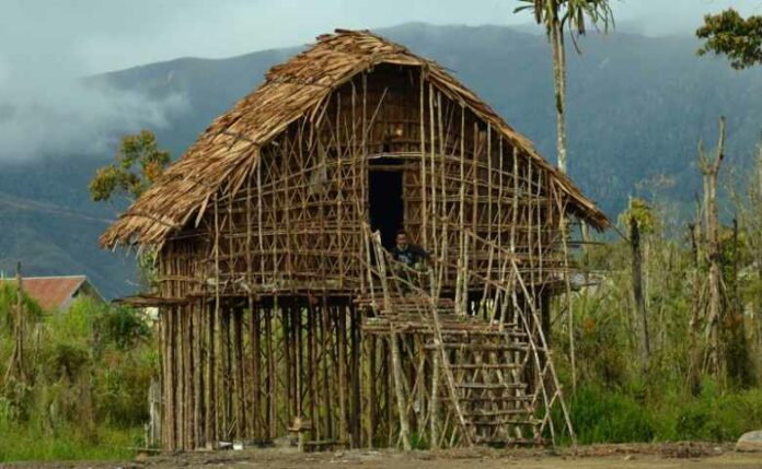 Rumah Adat Papua, Gambar & Penjelasan Mengenai Keunikannya