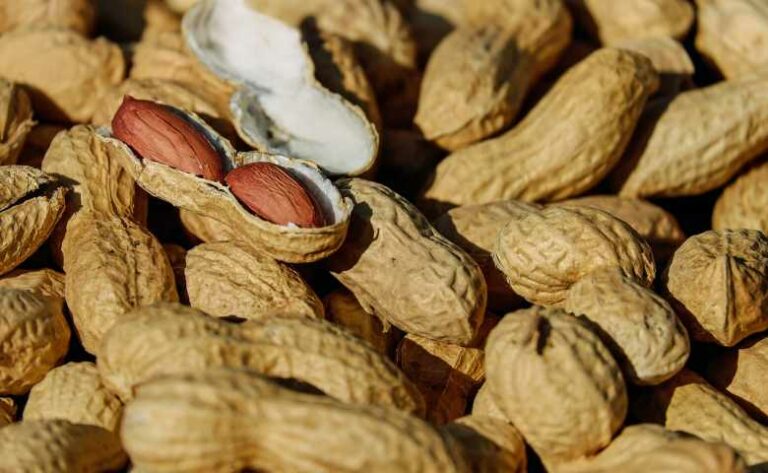 15 Jenis Kacang-kacangan: Kaya Protein, Camilan Diet