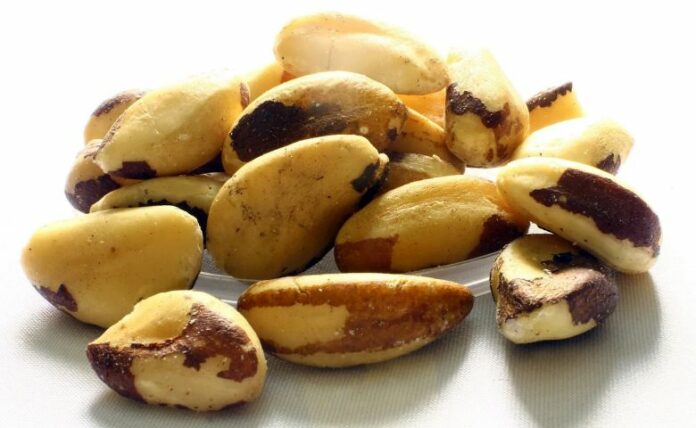 15 Jenis Kacang-kacangan: Kaya Protein, Camilan Diet