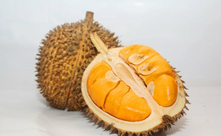 11 Manfaat Buah Lai: Kembaran Durian, Kaya Kebaikan