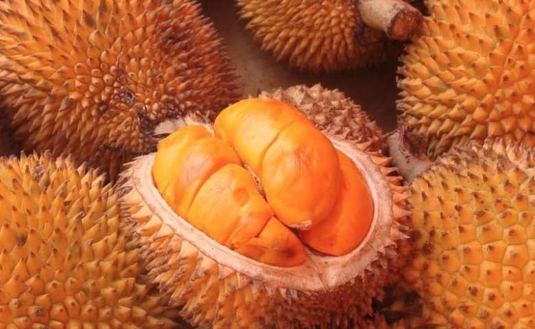 11 Manfaat Buah Lai: Kembaran Durian, Kaya Kebaikan