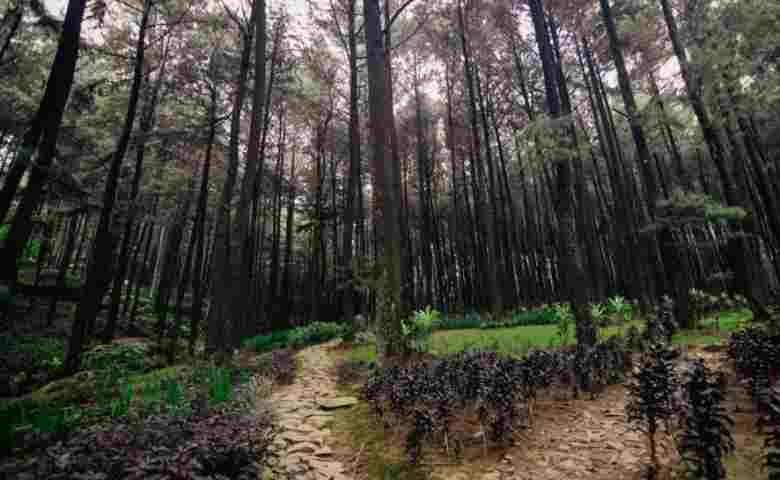 10 Tempat Wisata di Sentul, Sedang Hits dan Terbaru 2021