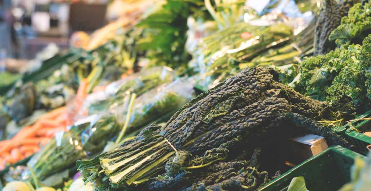 11 Jenis Sayuran Hijau: Sehat dan Bugar Setiap Hari