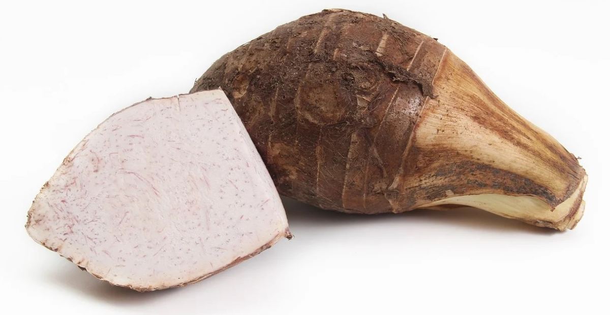 11 Manfaat Talas: Umbi Purba yang Luar Biasa