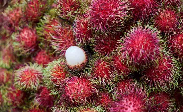 13 Manfaat Buah Rambutan: 'Si Manis' yang Kaya Antioksidan