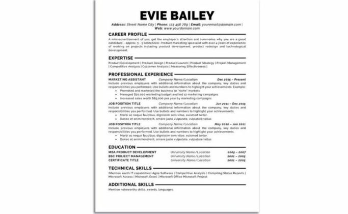 Contoh CV Mahasiswa yang Masih Kuliah, Untuk Magang dan Part Time