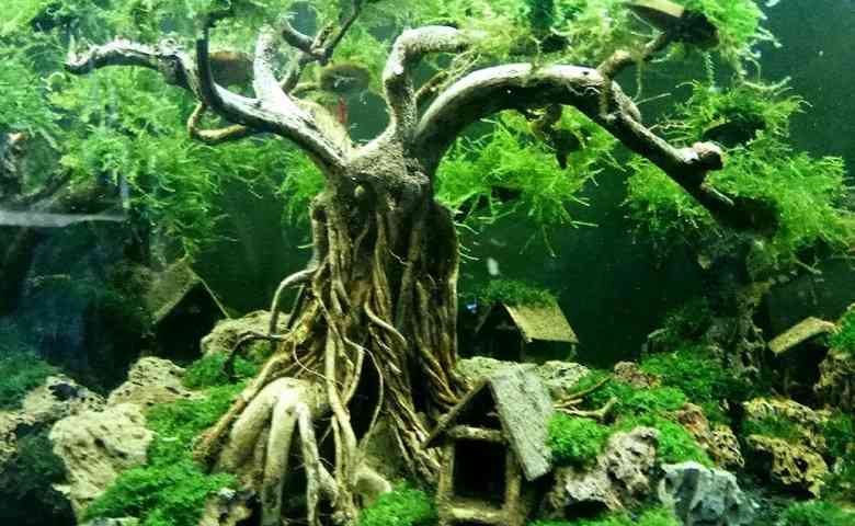 7 Inspirasi Model Aquascape Minimalis Terbaik dan Terpopuler ...