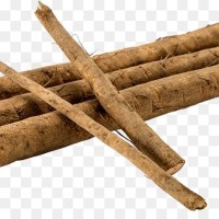 Jual Burdock Root Akar Gobo - Kota Surabaya - GoodCheap | Tokopedia