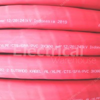 Jual Kabel TM 20KV NA2XSEYBY 3x300mm2 (Merah 3x300mm 3x300 3 x 300 mm ...
