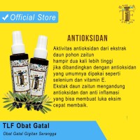 Jual Obat Gatal Gigitan Tomcat / Obat Gatal Gigitan Serangga / Obat ...