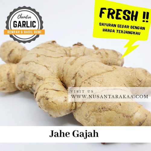 Jual Jahe gajah 1 kg - Jakarta Timur - chandra garlic | Tokopedia
