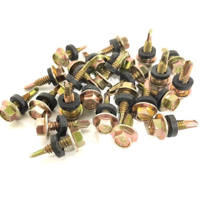 Jual Baut Roofing - Ruping - Skrup Sekrup 12 x 20 Cm Self Drilling ...