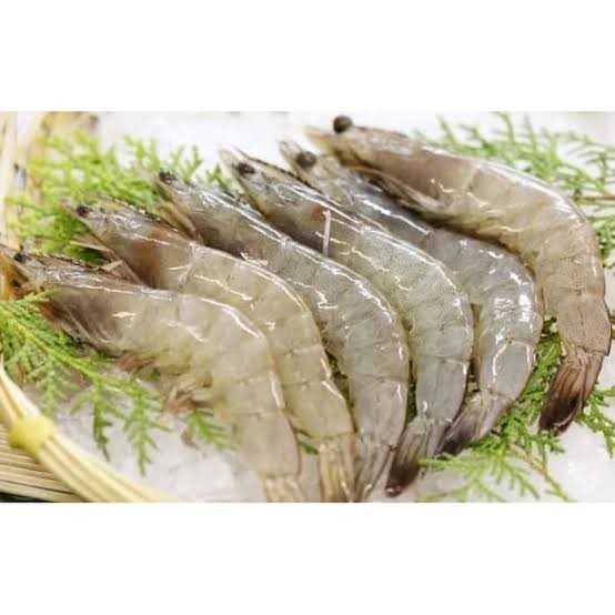 Jual UDANG VANAME FRESH SEGAR 1kilogram - Jakarta Selatan - IKAN MAKMUR ...