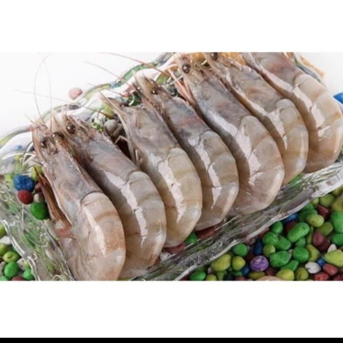 Jual Udang Vaname Sedang Segar Fresh - 1Kg - Jakarta Selatan - IKAN ...