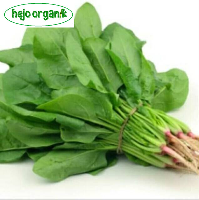 Jual HORENZO HORENSO POLENG BAYAM JEPANG FRESH SAYUR ORGANIK SEGAR ...