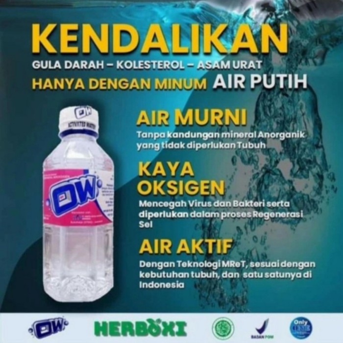 TJ-431 AIR OXI AIR OKSIGEN OW WATER PER BOTOL 288 ML | Lazada Indonesia
