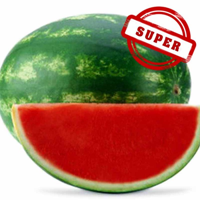 Jual Biji Benih Bibit Buah Semangka Giant Tanpa Biji - Kota Semarang ... Jual Biji Benih Bibit Buah Semangka Giant Tanpa Biji - Kota Semarang ...