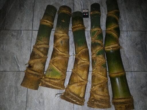 Jual Bambu Petuk/Pethuk Rantai Bumi, Bambu Unik, Langka & Bertuah - Kab ...