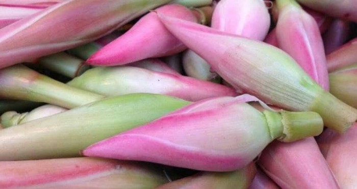 Jual Kecombrang / Kincung 500 gram - Jakarta Pusat - Baligequ | Tokopedia