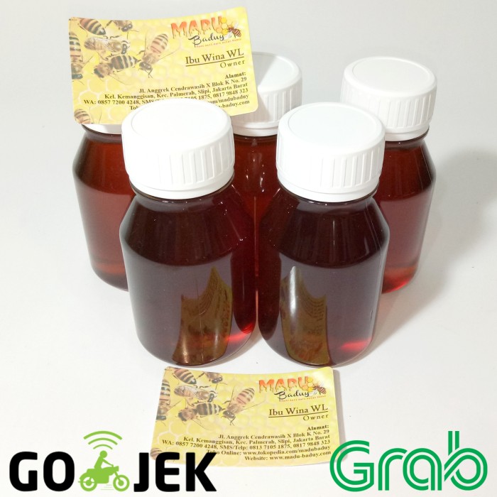 Jual Madu asli lebah liar hutan Baduy, Banten. Botol plastik 300ml ...