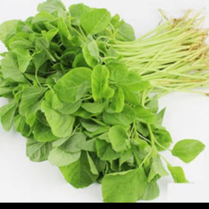 Jual Bayam segar - Jakarta Timur - pick fresh | Tokopedia