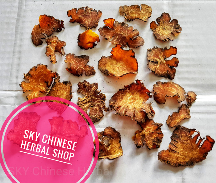 Jual (500 gram) Chuan Xiong Premium/ Chuan Kiong/ ChuanXiong Cuan Kiong ...