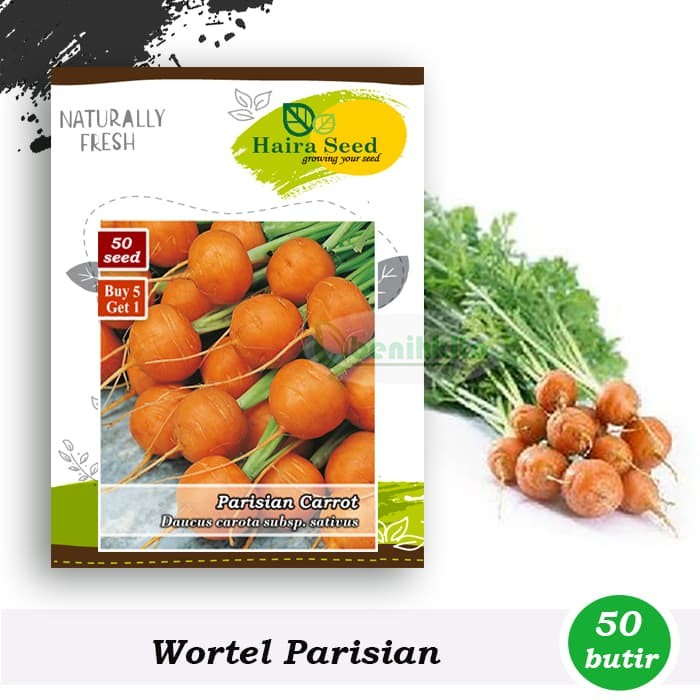 Jual Benih-Bibit Wortel Mini Bulat Parisian (Haira Seed) - Kota Depok ...