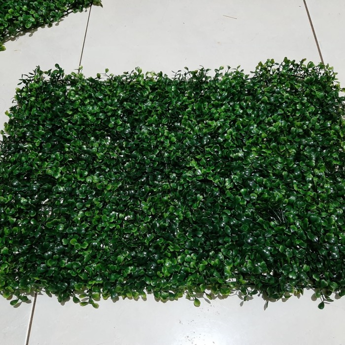 Jual pusat tanaman rambat dollar sintetis daun palsu artificial - Kab ...