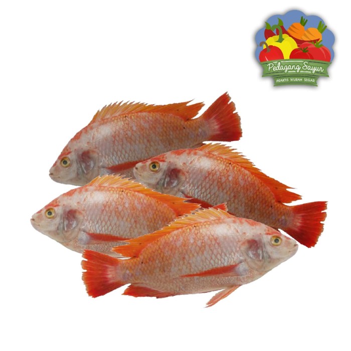 Jual Ikan Nila Merah Segar - 500 gram - Kota Tangerang Selatan ...