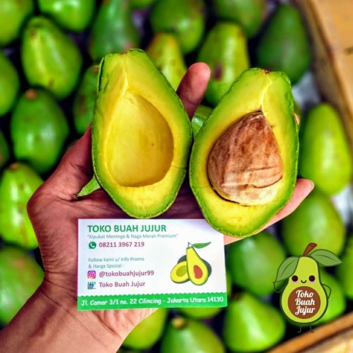 Jual Alpukat Mentega Super - Jakarta Utara - Toko Buah Jujur | Tokopedia