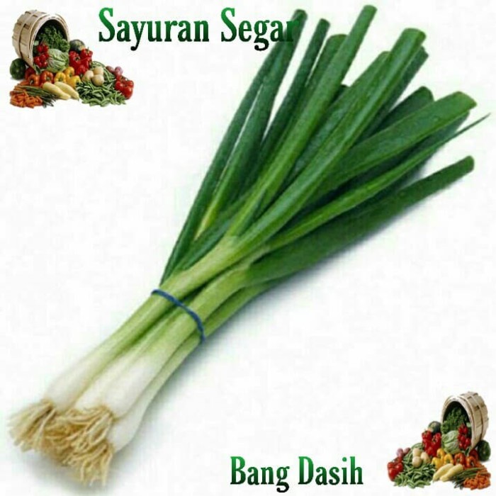 Jual Daun bawang segar 500gr - Jakarta Utara - sayuran segar Bang DS ...