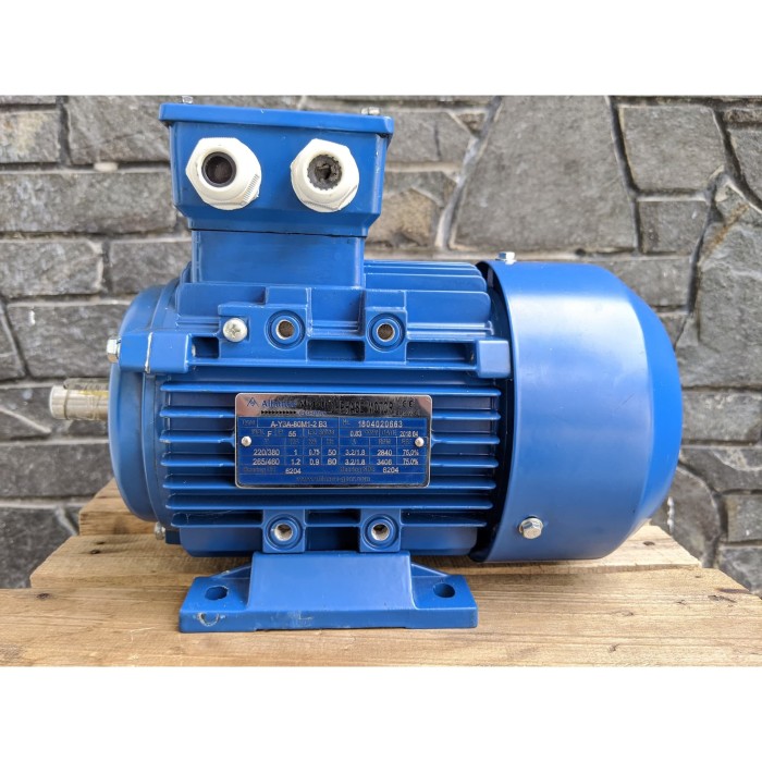 Jual Alliance Motori Elektro Motor / Dinamo A-Y3A 1 HP 0.75 kw 3000 RPM B3 - Kota Surabaya ...