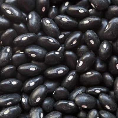 Jual KACANG KEDELAI HITAM 50GRAM KEDELAI HITAM 50g - Jakarta Timur ...