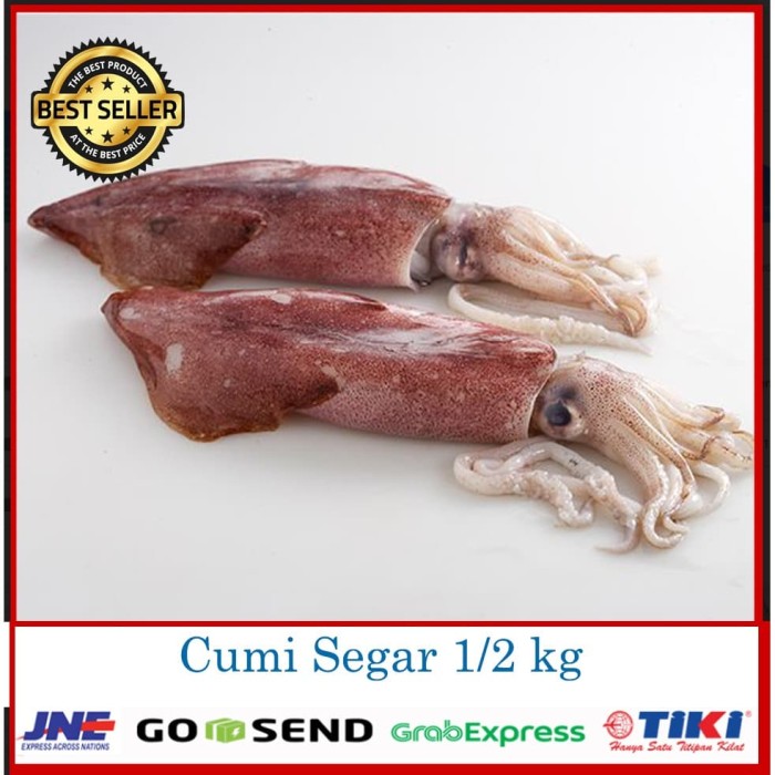 Jual PROMO CUMI 1/2 KG / CUMI BANGKA SEGAR - FRESH BANGKA SQUID/ CUMI ...