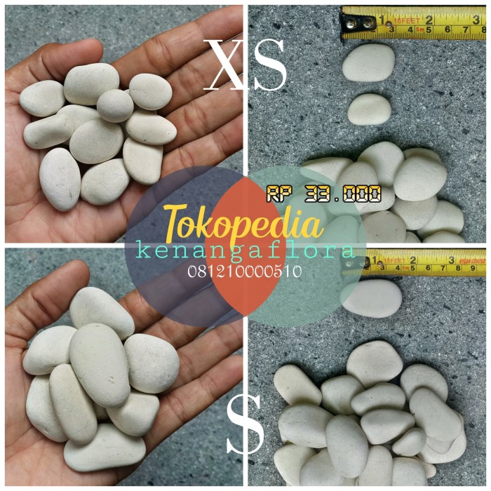 Jual Batu Koral Putih Kupang 13kg S - Jakarta Selatan - Kenanga Flora ...