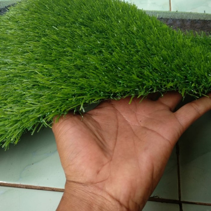 Jual Rumput sintetis jepang ukuran 30x40 - Kab. Bogor - warung-tanaman ...