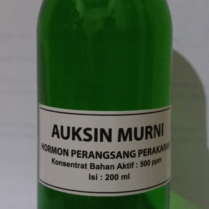 Jual Auksin / Hormon Tanaman - Jakarta Pusat - Nurunagro_Store | Tokopedia