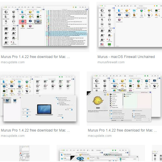 Murus Pro 2 0 - truelfile