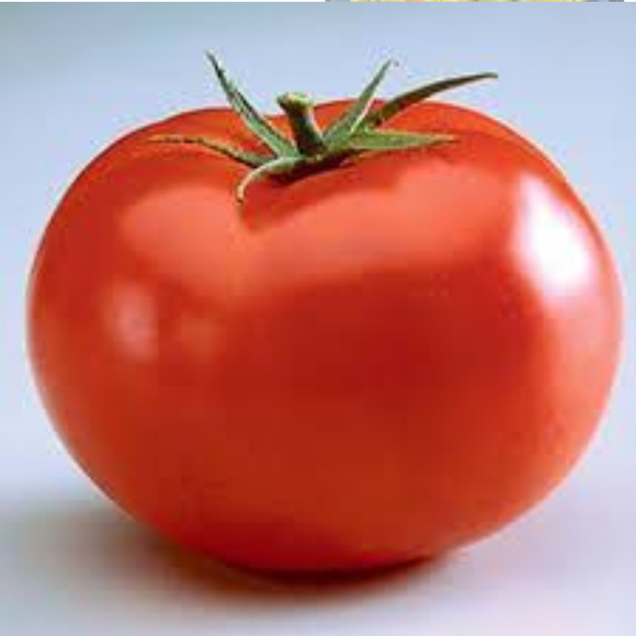 Jual buah sayur tomat tomato beef recento segar fresh organik - Jakarta ...
