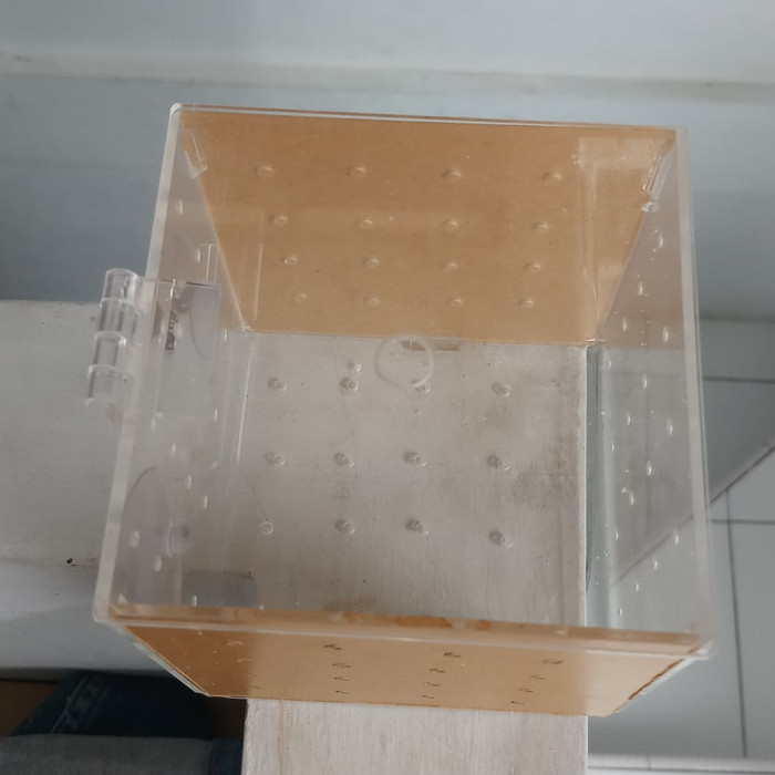 Jual box akrilik untuk chaeto - Kab. Bogor - tokul | Tokopedia